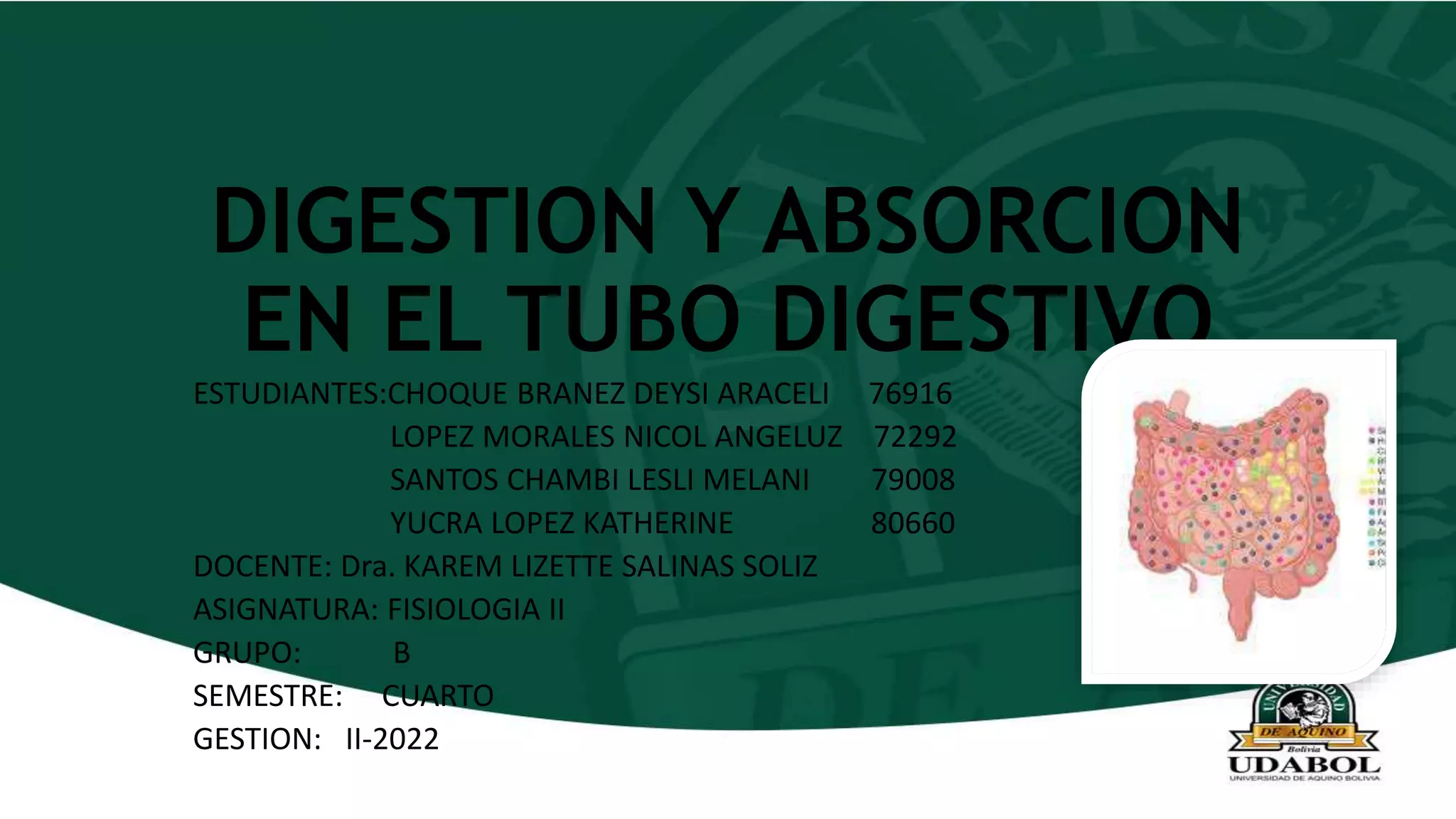 DIGESTION Y ABSORCION FISIOLOGIA II.pptx