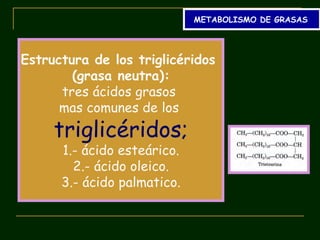 Digestion y metabolismo de los alimentos | PPT