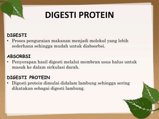 Digesti protein | PPTX