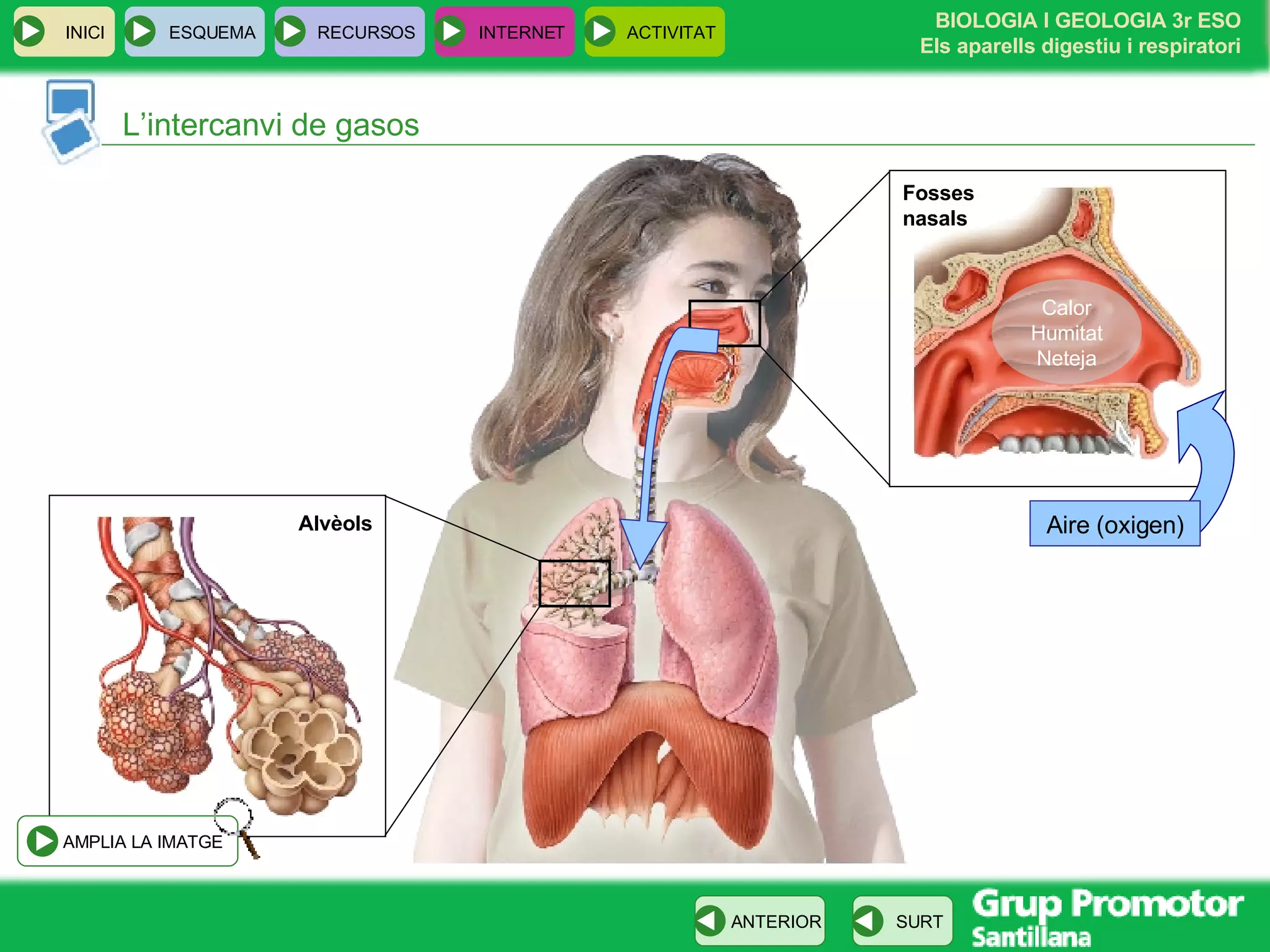 Digestiu Respiratori 3eso | PPS
