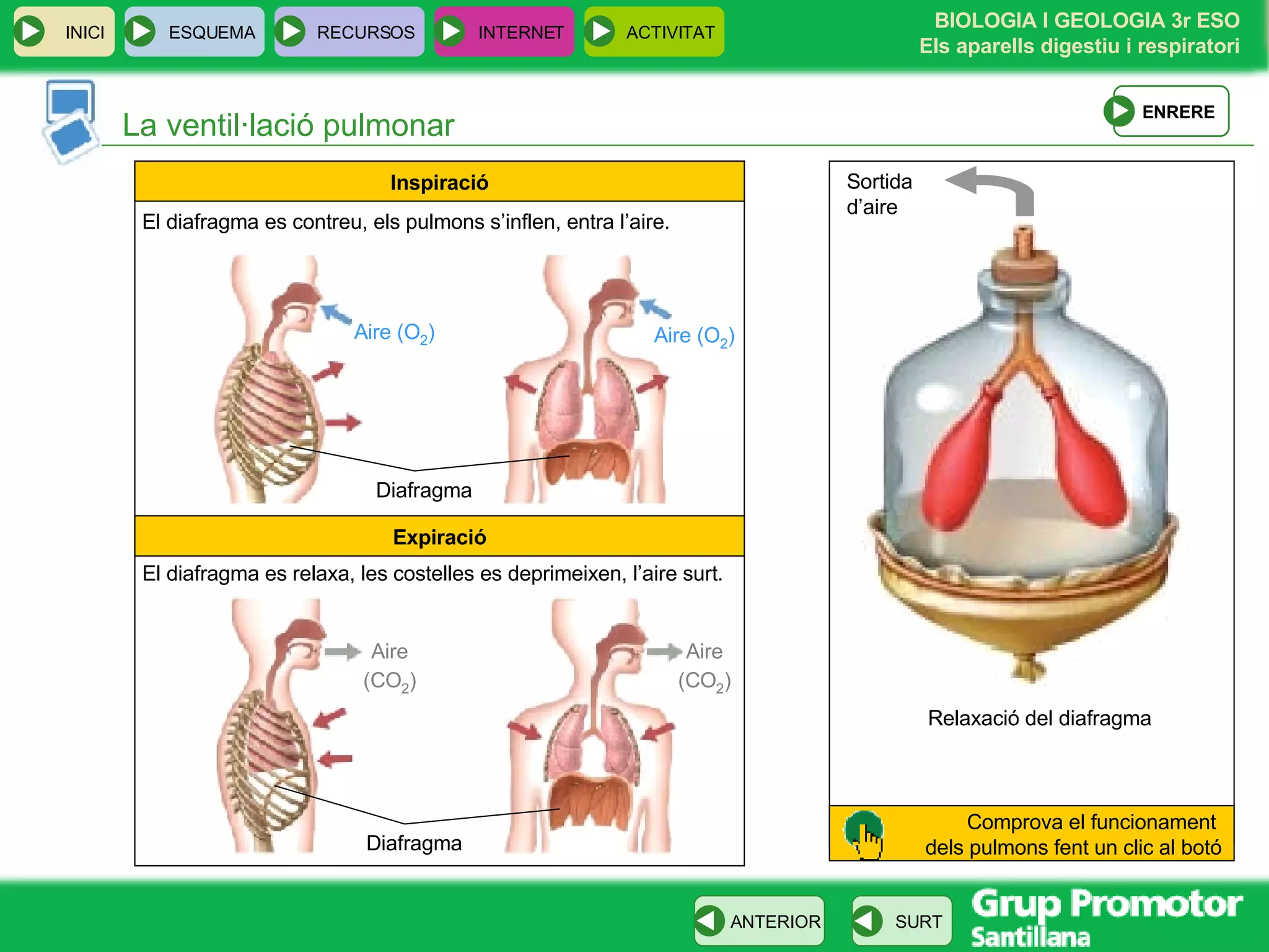 Digestiu Respiratori 3eso | PPS
