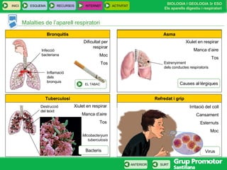 Digestiu Respiratori 3eso | PPS