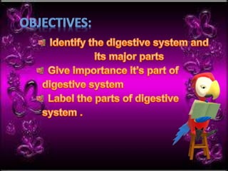 Digestive system | PPT