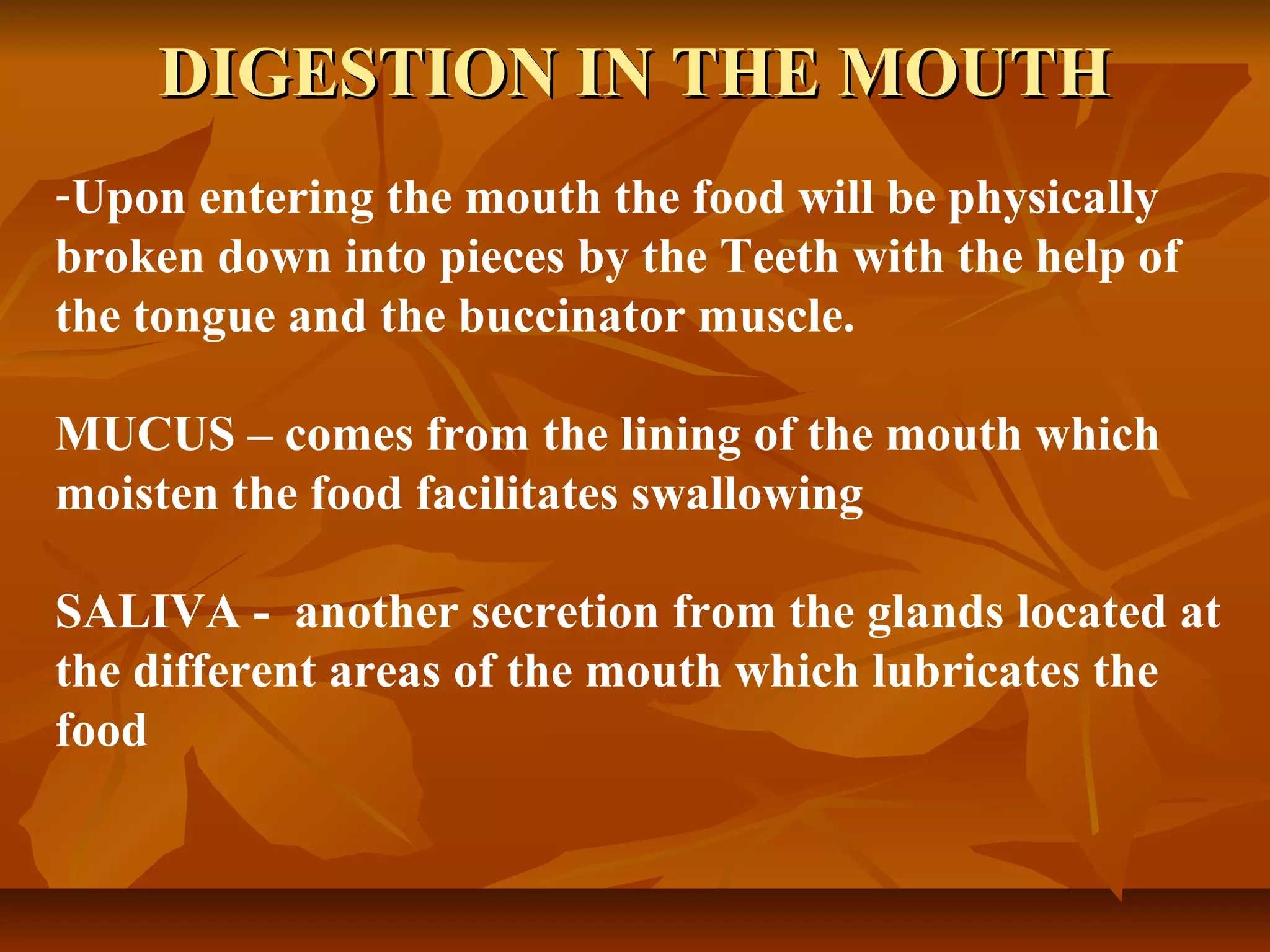 Digestive system interesting! | PPT