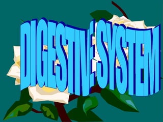 Digestive system interesting! | PPT
