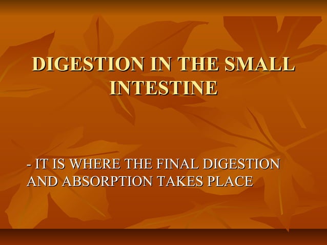 Digestive system interesting! | PPT