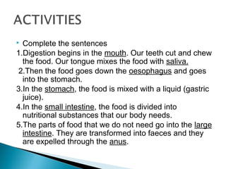 Digestive | PPT