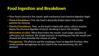 DIGESTIVE-2.pptx simple explanation about it | PPTX