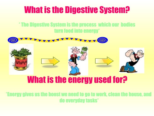 Digestive- student AJ'08.ppt