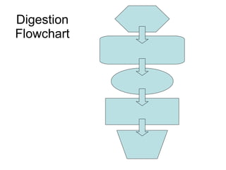 Digestive system | PPT