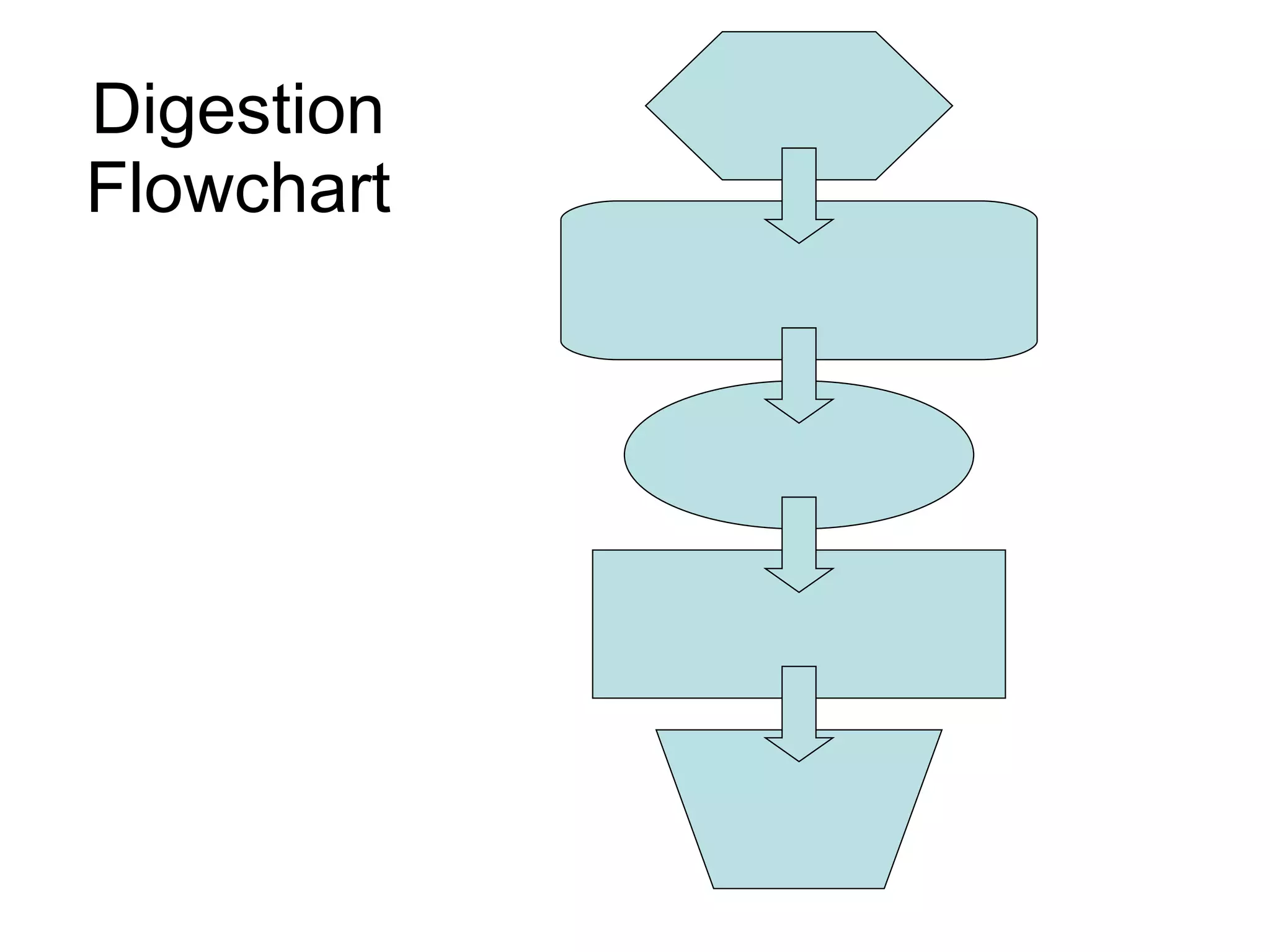 Digestive system | PPT