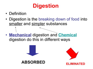 Digestive system | PPT
