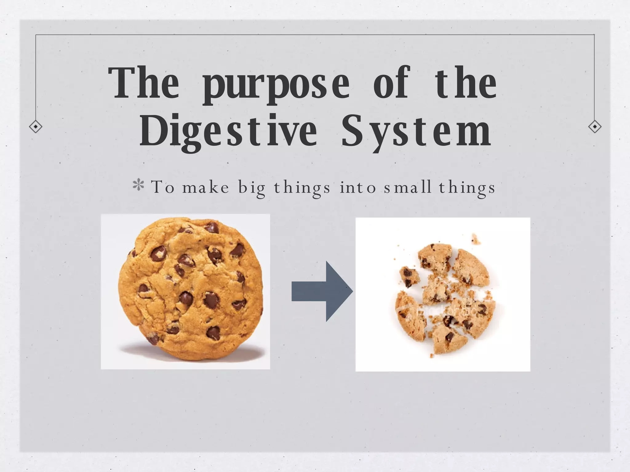Digestive System | PPT