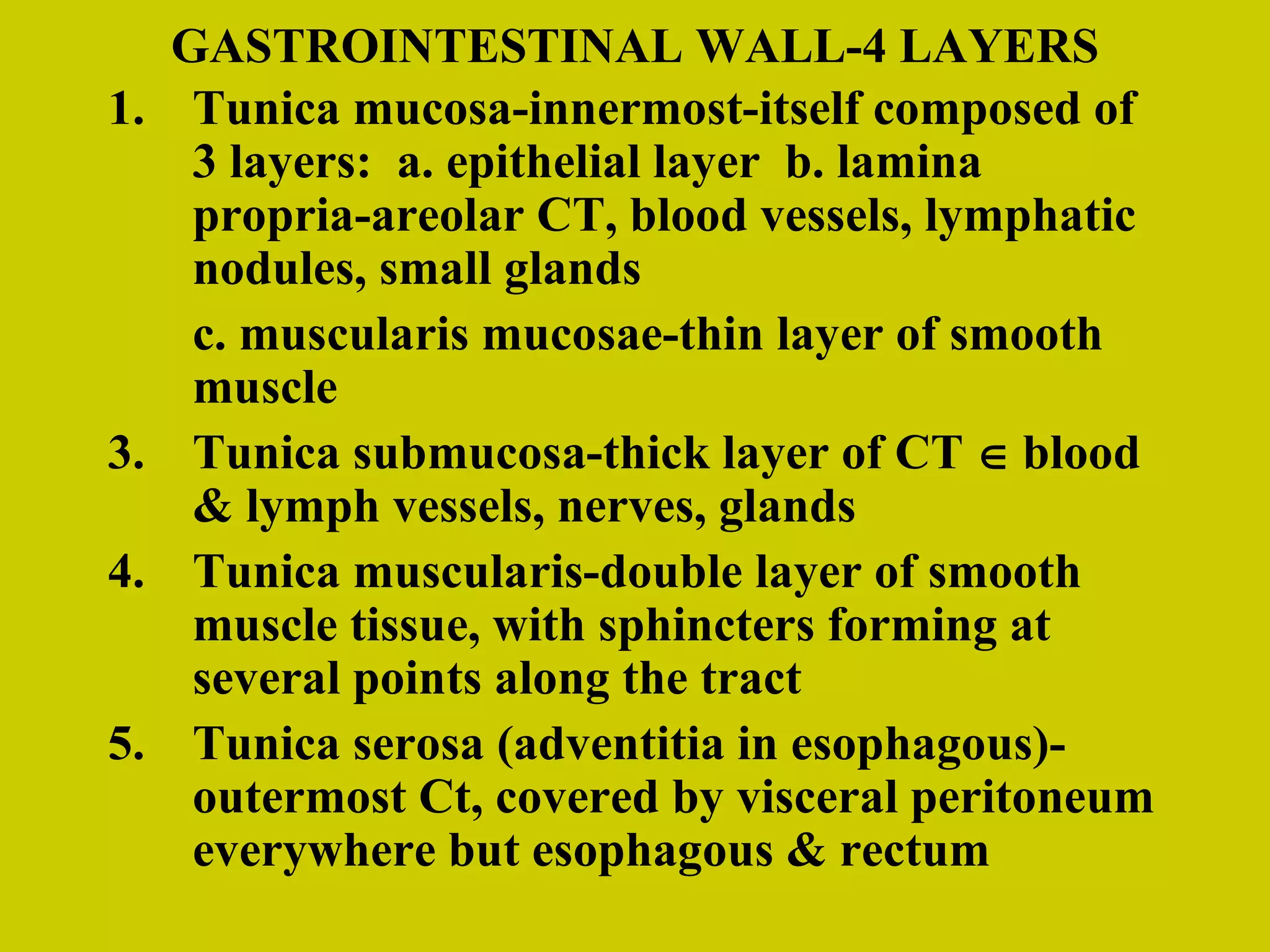 Digestive System | PPT