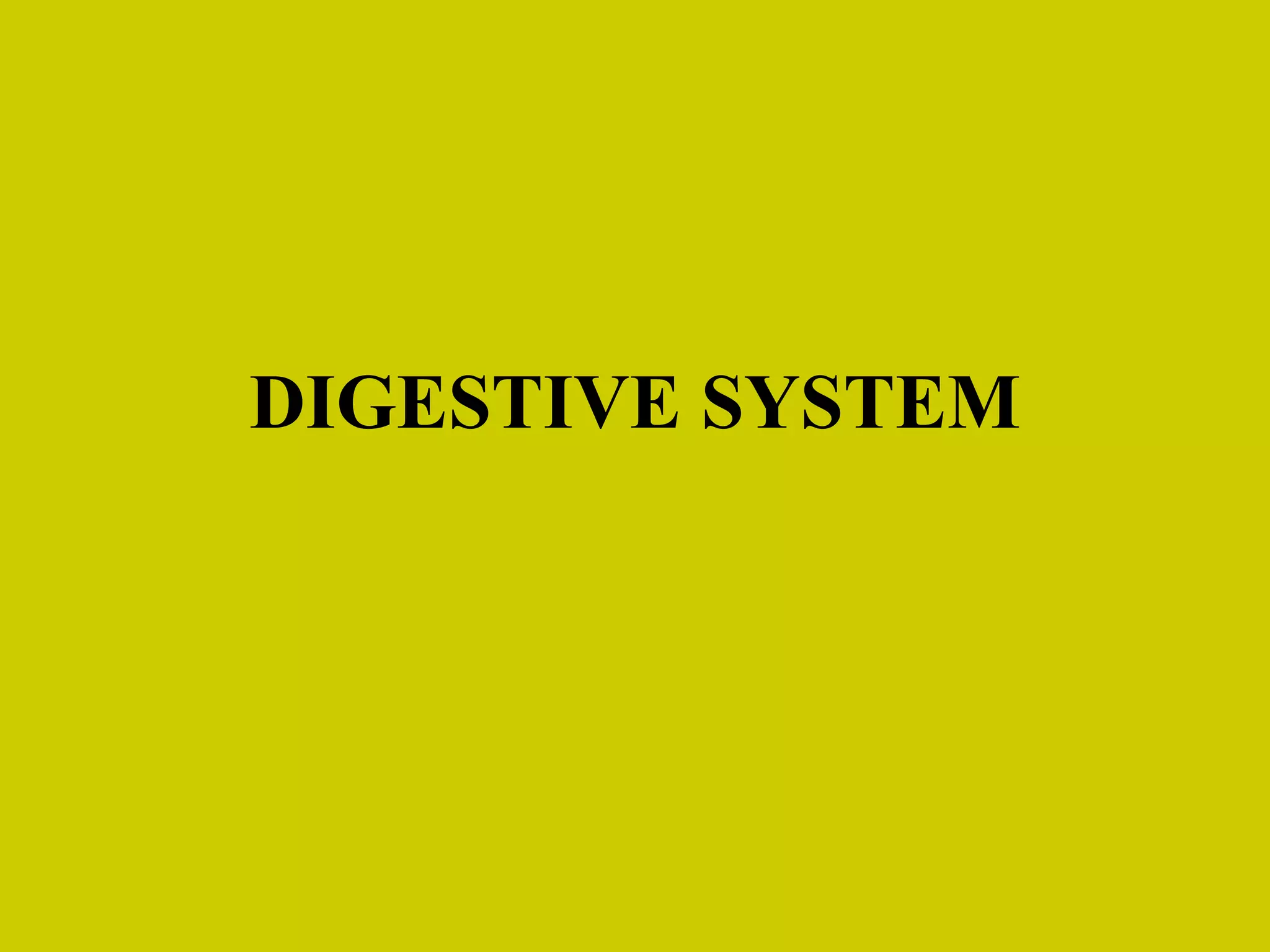 Digestive System | PPT