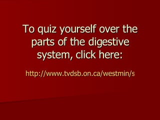 Digestive System | PPT