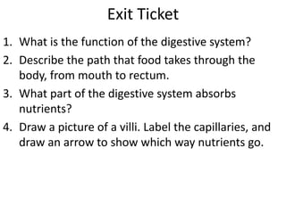 Digestive system | PPTX