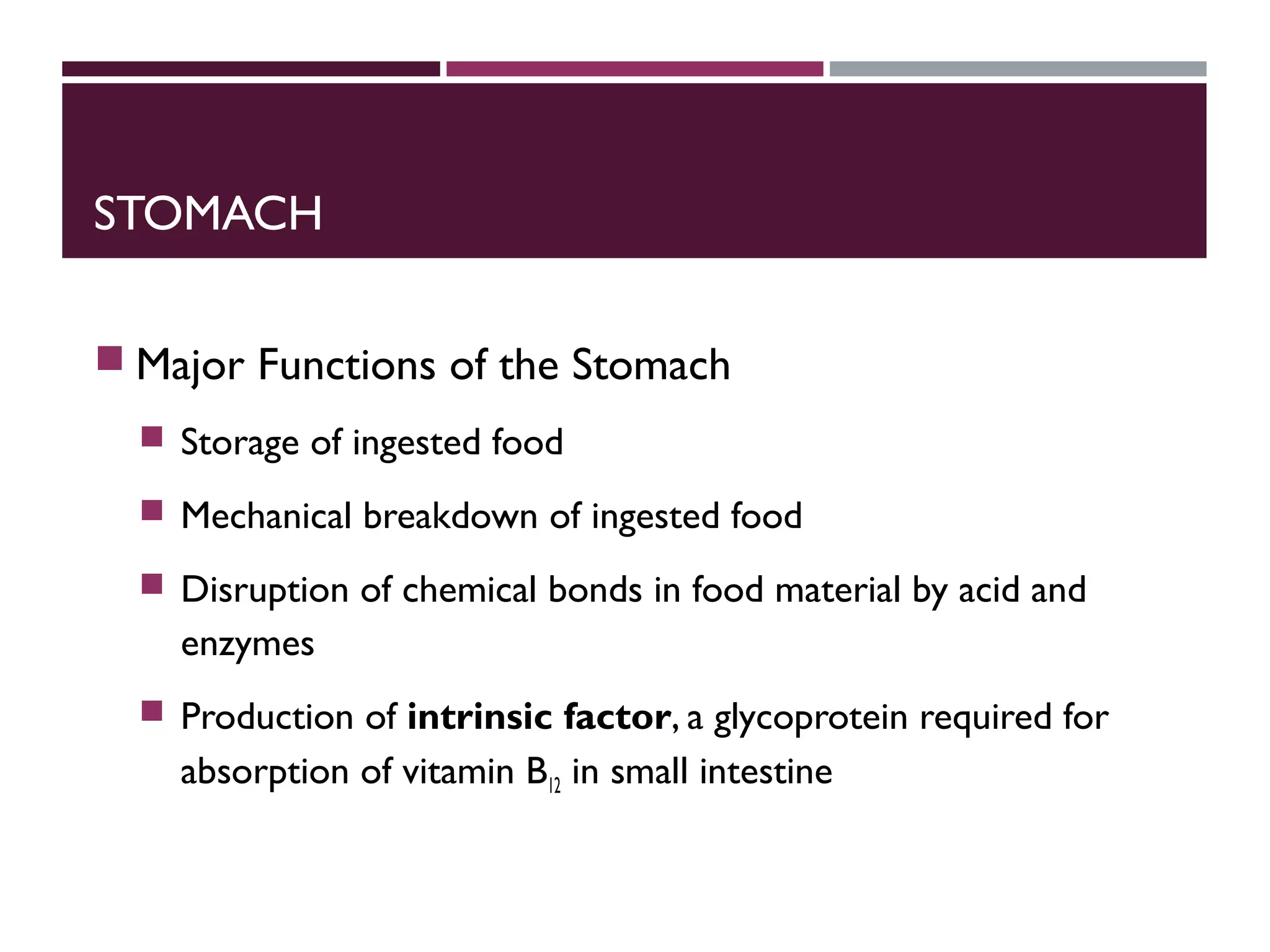 Digestive system | PPT