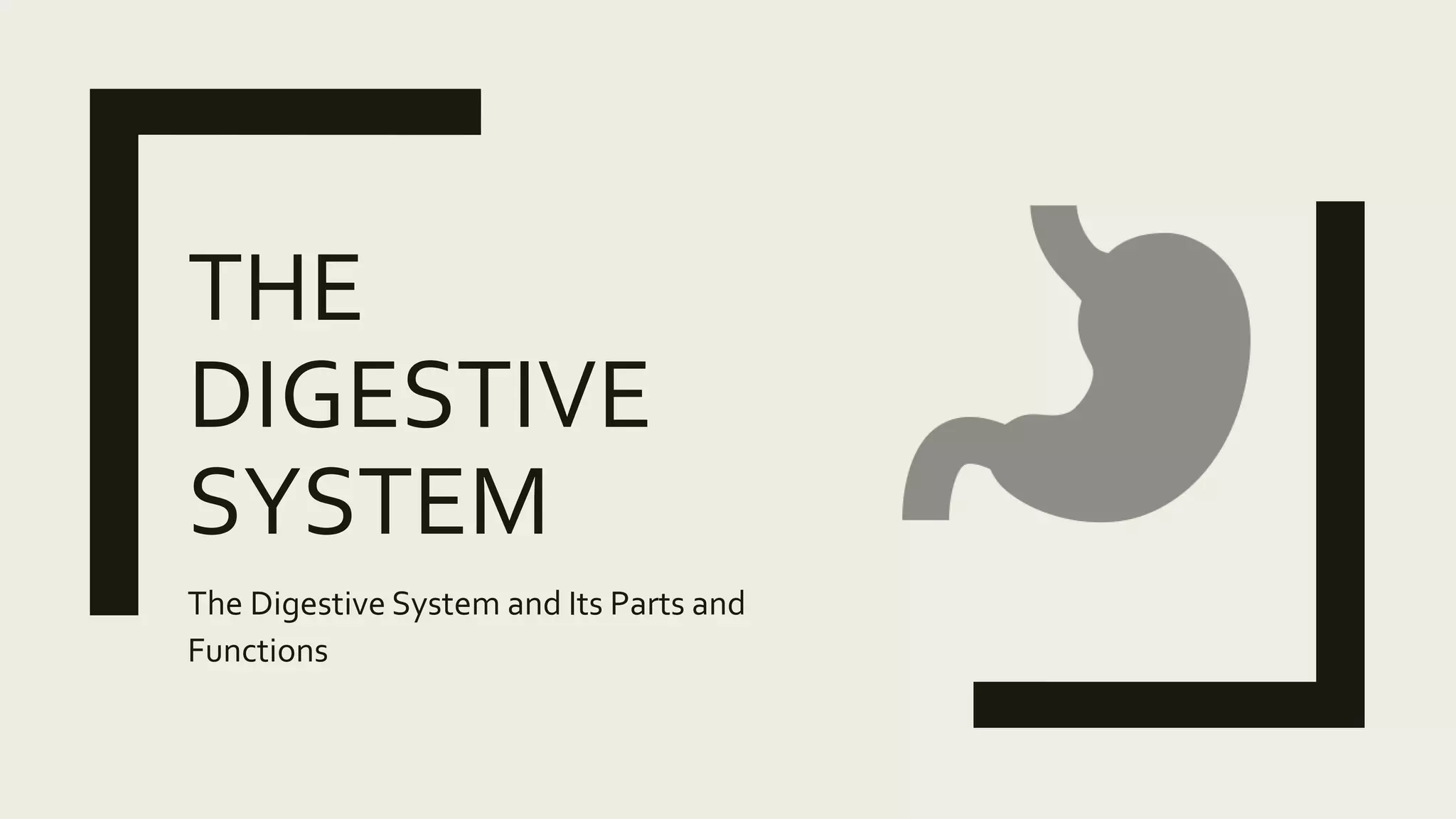 digestive-system.pptx