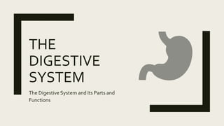 digestive-system.pptx