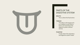 digestive-system.pptx