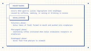 DIGESTIVE-SYSTEM.pdf