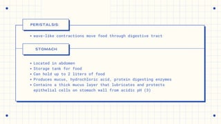 DIGESTIVE-SYSTEM.pdf