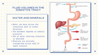 DIGESTIVE-SYSTEM.pdf