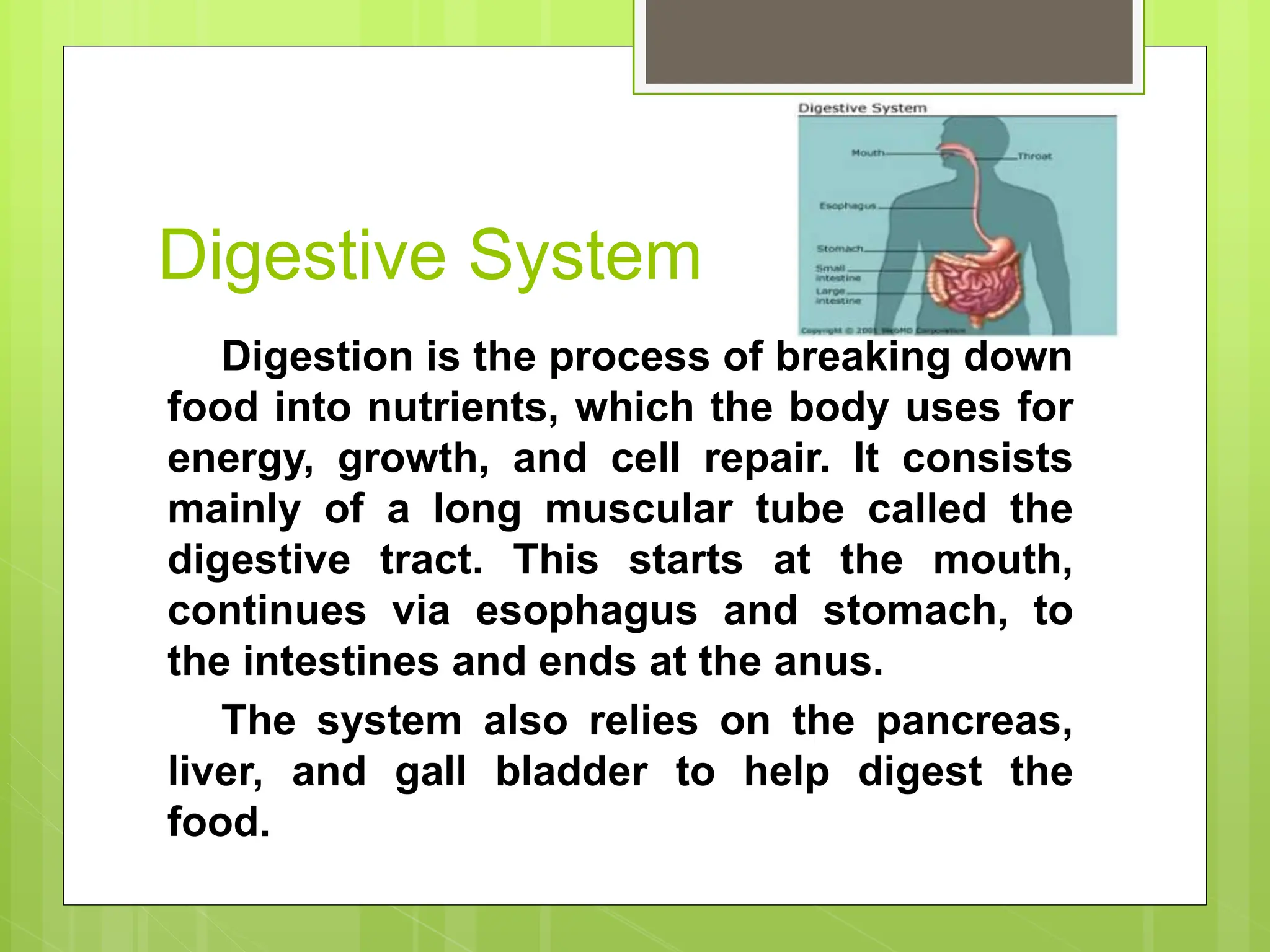 Science 6 Q2_The Human Digestive System (Parts and Function} | PPT