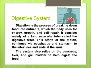 Science 6 Q2_The Human Digestive System (Parts and Function} | PPT