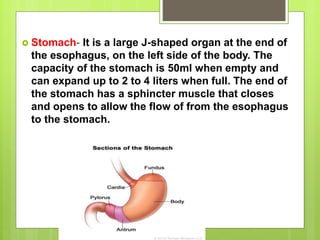 Science 6 Q2_The Human Digestive System (Parts and Function} | PPT