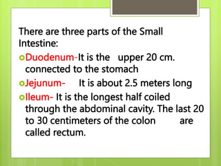 Science 6 Q2_The Human Digestive System (Parts and Function} | PPT