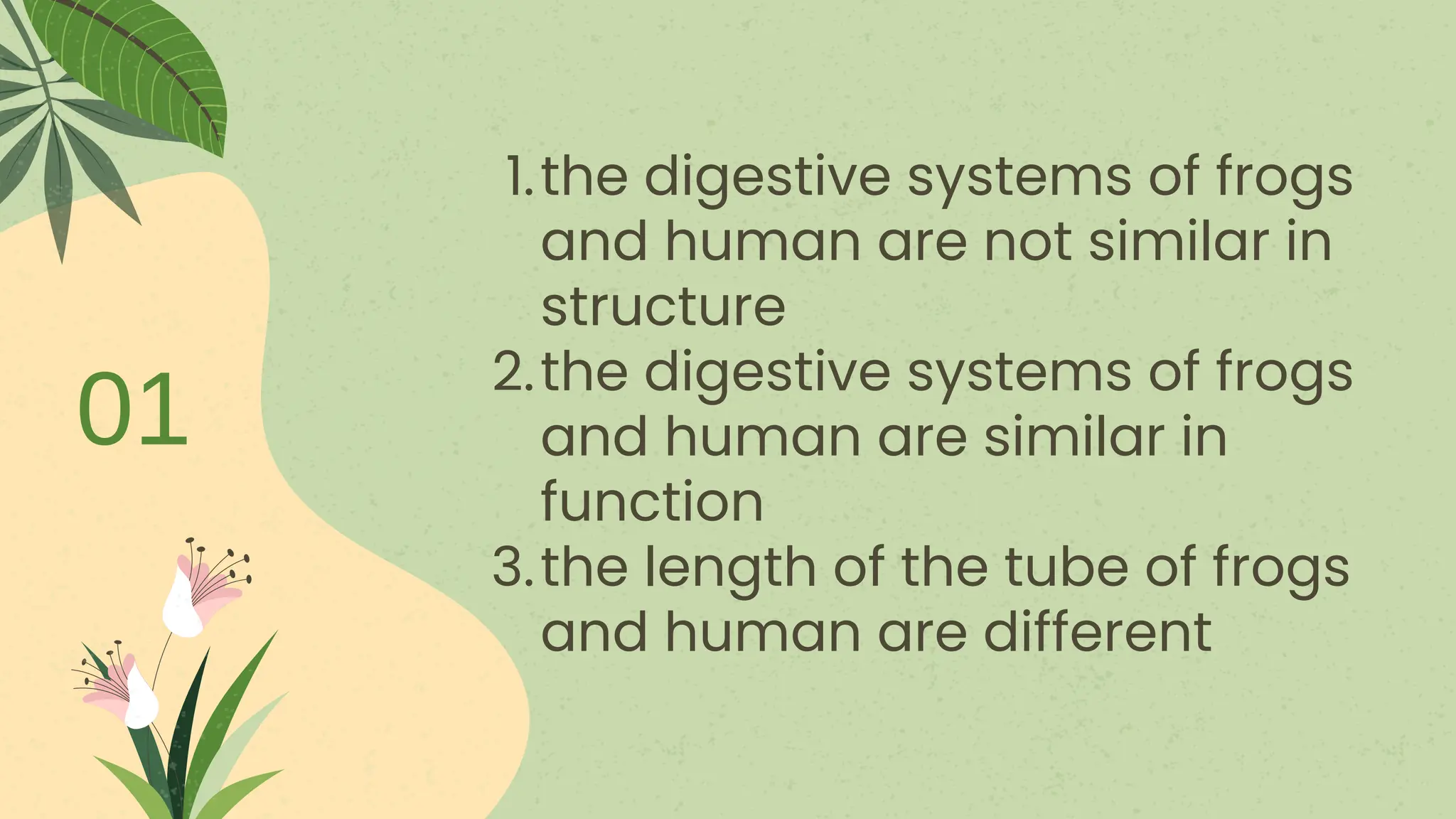 DIGESTIVE SYSTEM OF FROGS AND HUMANS.pdf
