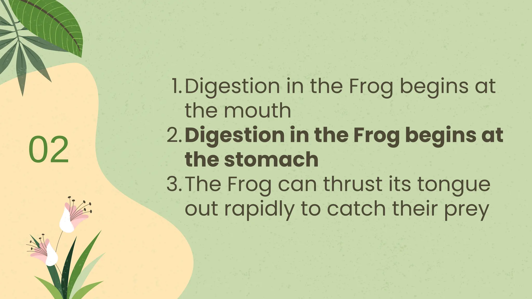 DIGESTIVE SYSTEM OF FROGS AND HUMANS.pdf