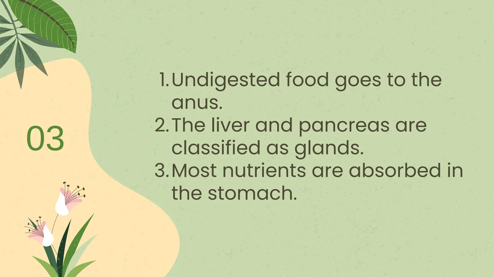 DIGESTIVE SYSTEM OF FROGS AND HUMANS.pdf