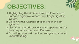 DIGESTIVE SYSTEM OF FROGS AND HUMANS.pdf