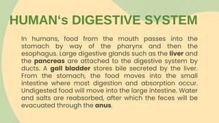DIGESTIVE SYSTEM OF FROGS AND HUMANS.pdf
