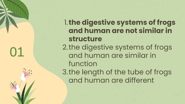 DIGESTIVE SYSTEM OF FROGS AND HUMANS.pdf | Biological Sciences | Science