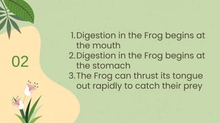 DIGESTIVE SYSTEM OF FROGS AND HUMANS.pdf