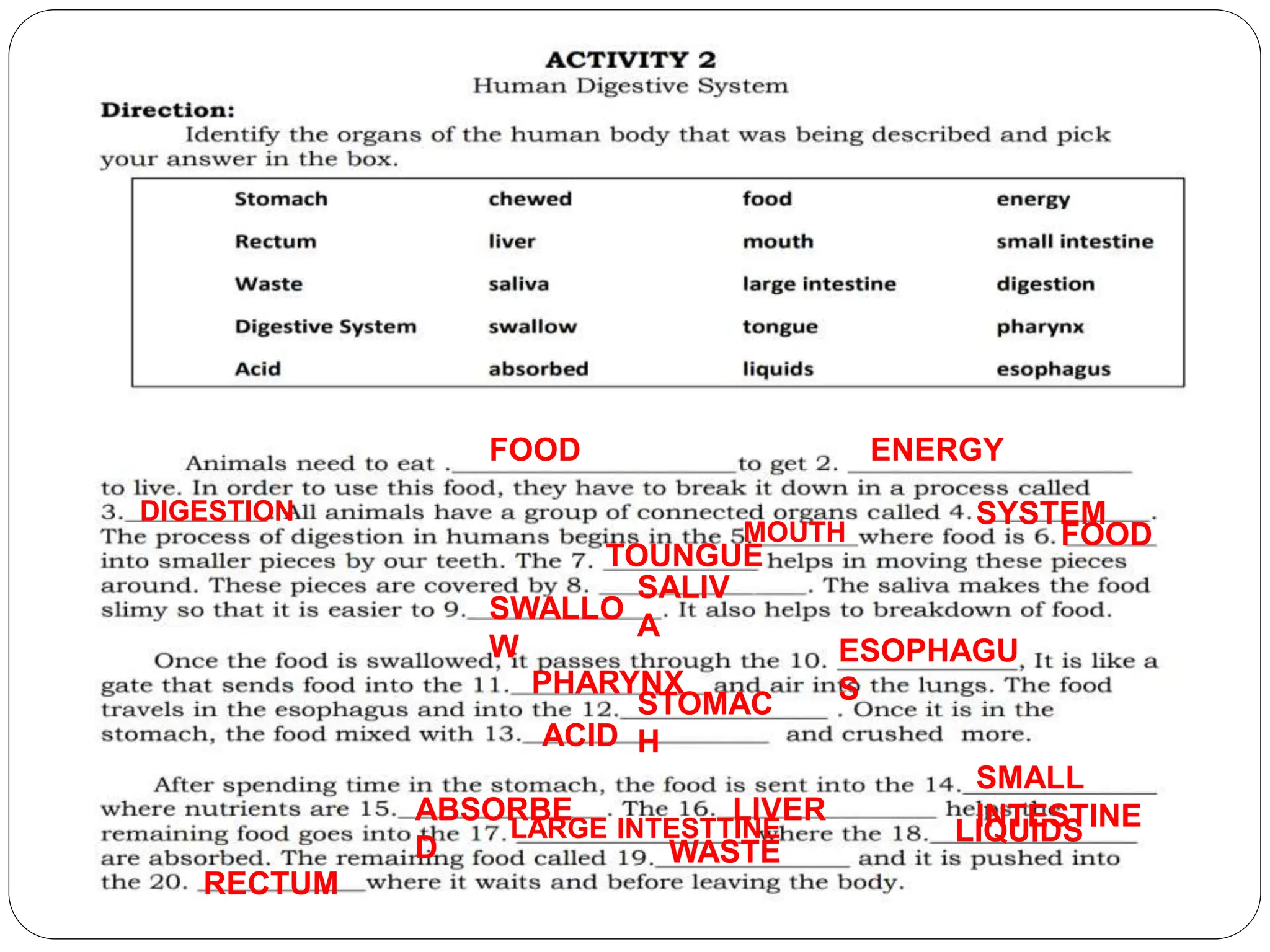 DIGESTIVE-SYSTEM-3.pptx | Biological Sciences | Science