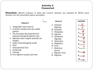 DIGESTIVE-SYSTEM-3.pptx | Biological Sciences | Science