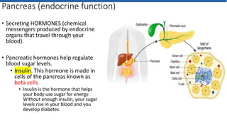 digestive-system-accesory.pptx