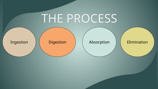 DIGESTIVE-SYSTEM-SCIENCE-INFORMATIVEPOWERPOINT | PPT
