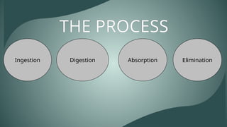 DIGESTIVE-SYSTEM-SCIENCE-INFORMATIVEPOWERPOINT | PPT