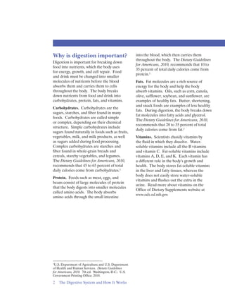 The Digestive System and How it Works | PDF
