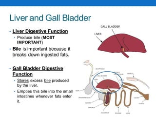 Digestive-System-in-Poultry-sistem pencernaan-ayam.pdf