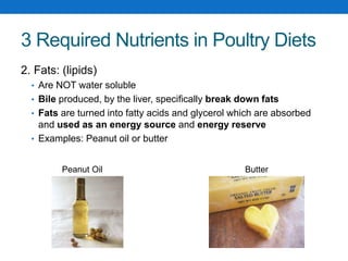 Digestive-System-in-Poultry-NXPowerLite.pptx