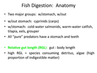 Digestive-System-of-Finfishes.pdf