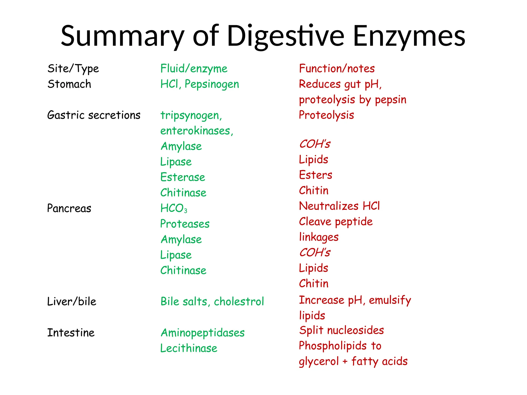 Type of Digestive-System-of-Finfishes.pptx