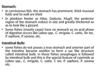 Type of Digestive-System-of-Finfishes.pptx